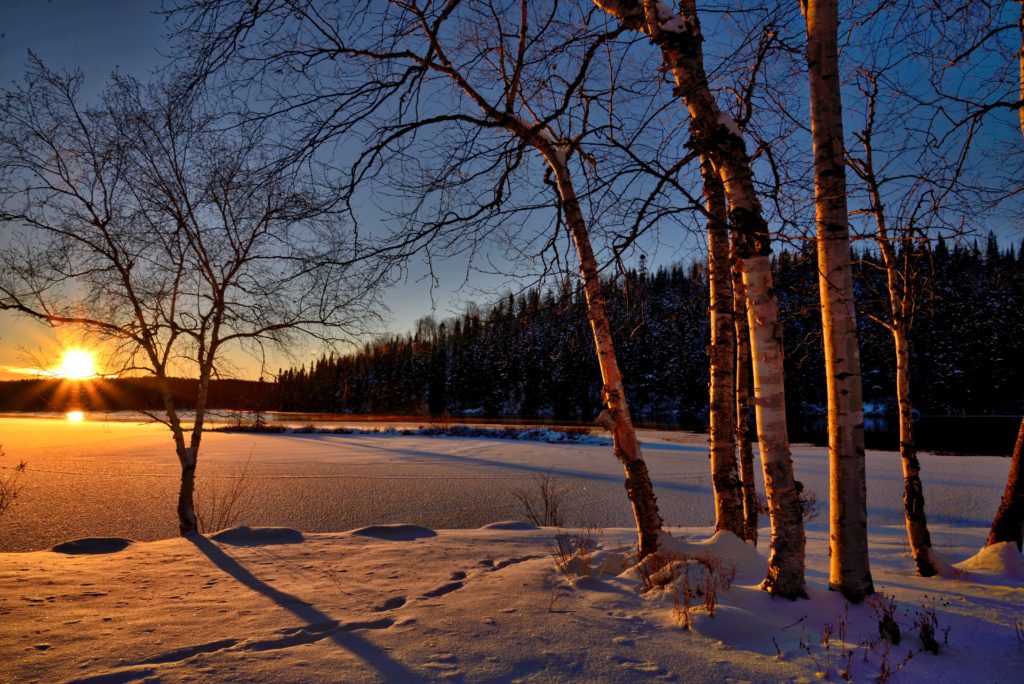 Discipline, Duty, or Devotion – So What’s the Difference? - Bible ...